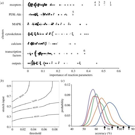 Analysis Of Parameter Importance And The Effects Of Model Threshold Download Scientific