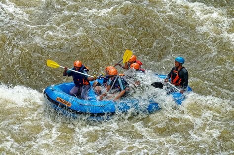 What Are High Performing Agile Teams