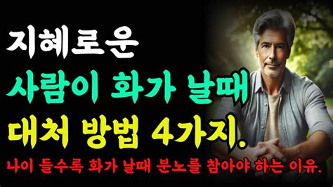 지혜로운 사람이 화가날때 대처방법4가지 I 나이들수록 화가날때 분노를 참아야하는 이유오디오북철학과지혜반복빛나는 행복 Youtube