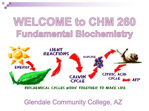 Chemistry Primer Lecture Note Slides Pdf Chemistry Science