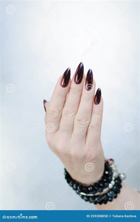 Female Hands With Long Nails And Black And Red Brown Manicure Stock
