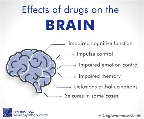 Drugs And Their Effects On The Brain