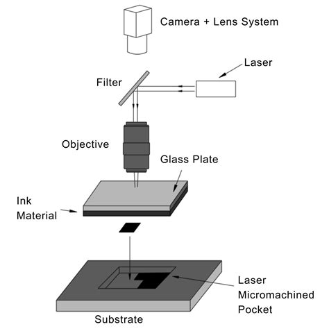 The Complete Guide To Microscope Objective Lens Avantier Inc