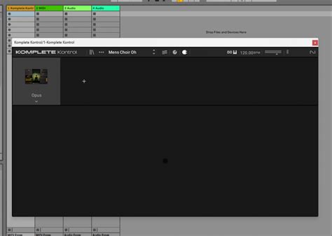 Komplete Kontrol Doesnt Load 3rd Party Vst While Inside Ableton