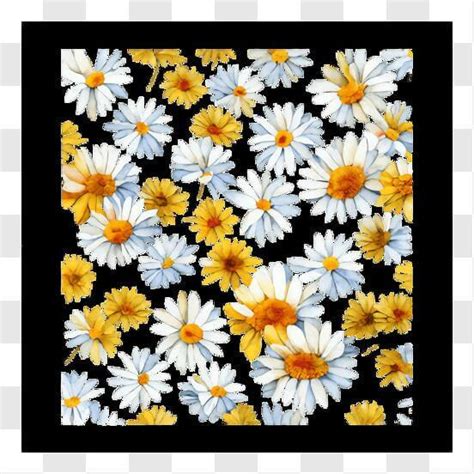 T L Charger Motif De Marguerite Vibrant Sur Fond Noir Png En Ligne