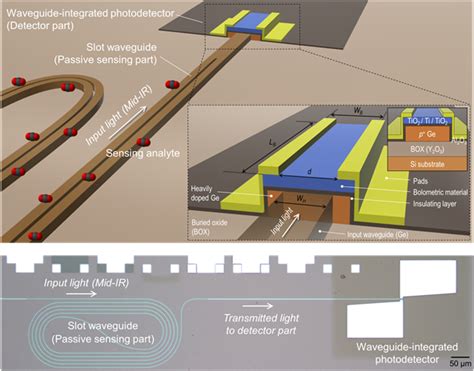 Kaist 냉각없이 구동 ‘중적외선 광검출기 개발