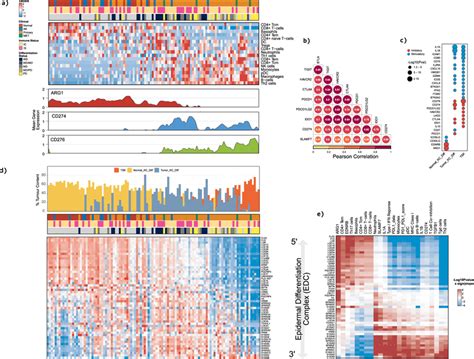 The Orchestrated Suppression Of Late Epidermal Differentiation And Download Scientific Diagram