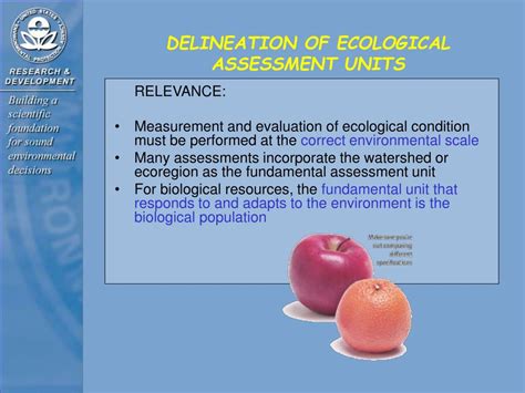 PPT Molecular Markers For Ecological Indicators PowerPoint Presentation ID