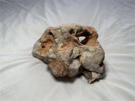 Stubbed My Toe On This In A Forest Dug It Out Amazing But No Idea