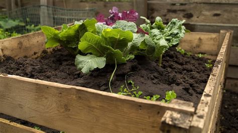 EarthFriendly Endeavors DIY Compost Pit Construction Guide Premium AI Generated Image