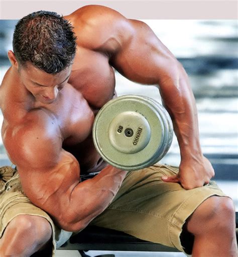 Dumbbell Concentration Curl • Bodybuilding Wizard