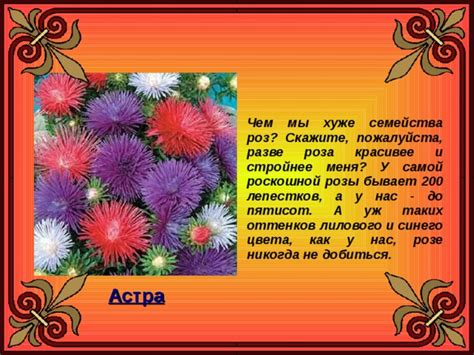 Спор героев о прекрасном в рассказе Ж.Санд "О чём говорят цветы"