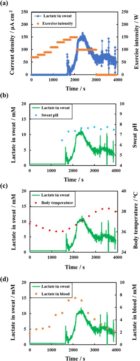 Lactate Biosensor At Charles York Blog