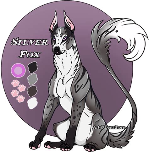 Feral Jader Silver Fox [auction Closed] By Benathorn On Deviantart