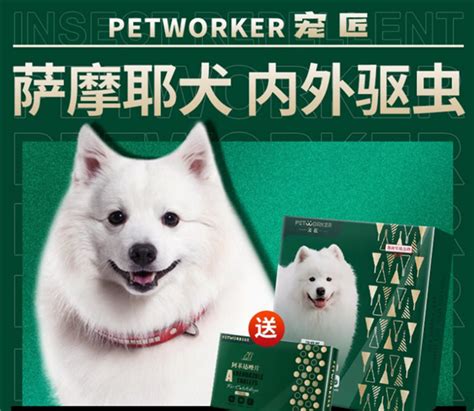 宠匠驱虫怎么样 宠物网
