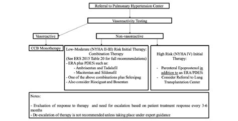 Proposed Algorithm For Treatment Of Pulmonary Arterial Hypertension Download Scientific Diagram