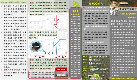 捕蜂捉蛇業務歸屬大哉問 轉變期關鍵誰來買單 環境資訊中心