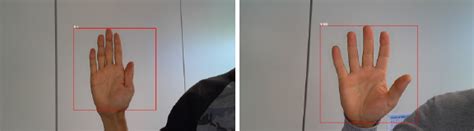 Example Results Of Palm Detection By The ACF Detector Download Scientific Diagram