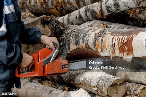 전기톱으로 나무를 톱으로 톱으로 톱을 갈아입은 한 남자의 클로즈업 로거는 전기톱으로 나무 줄기를 보았다 장작 수확 기계류에 대한 스톡 사진 및 기타 이미지 Istock