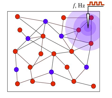 Schematic Representation Of Spiking Neuron Network Snn Construction Download Scientific