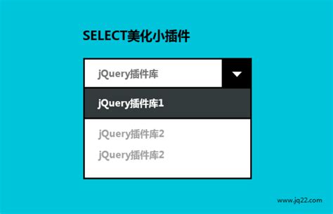 Inputtag 标签输入框 原创