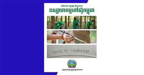 អតីតកាល បច្ចុប្បន្ន និងអនាគតនៃដំណាំកៅស៊ូនៅកម្ពុជា ក្រសួងព័ត៌មាន