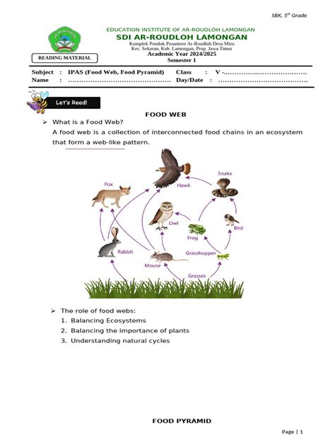 Rm Food Web Pdf Food Web Systems Ecology