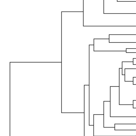 the genetic similarity dendrogram for pleurotus ostreatus constructed