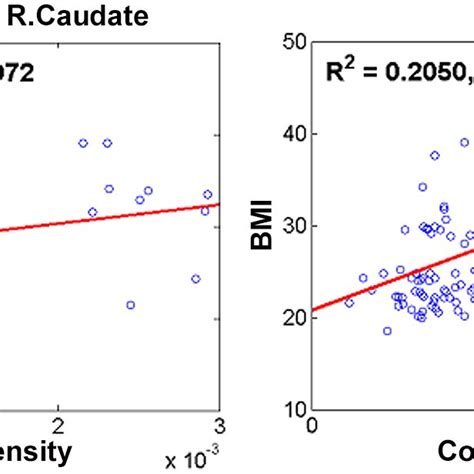 Linear Regression Results Between Structural And Functional Features Of Download Scientific Linear Regression Results Between Structural And Functional Features Of Download Scientific