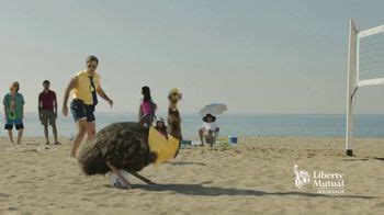Liberty Mutual Tv Spot Limu Emu And Doug Volleyball Ispot
