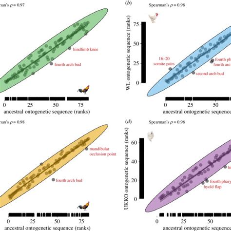 Pairwise Comparisons Of Ranked Ontogenetic Sequences The Ancestral