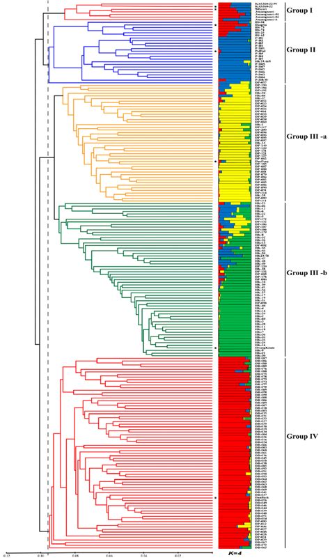 dendrogram revealed by unweighted pair group method with arithmetic