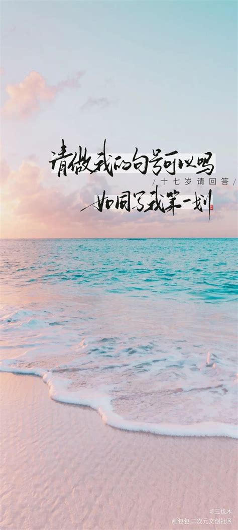 某某 三也木的绘画作品 画包包