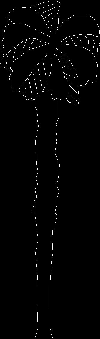 Trees Palms Various Types Of Vegetation DWG Block For AutoCAD Designs CAD