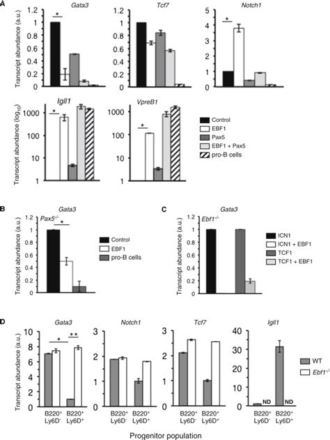 Ebf1 Represses Gata3 Transcript Levels Download Scientific Diagram