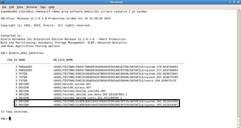 Oracle Database 12c Provision Cross Platform Non Cdb 11gr2 To