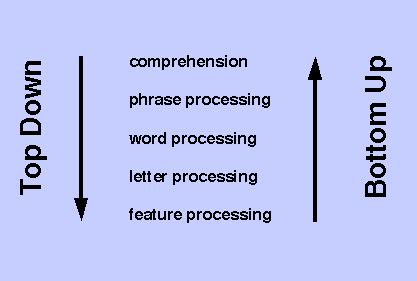 Bottom Up Vs Top Down Processing Psychology