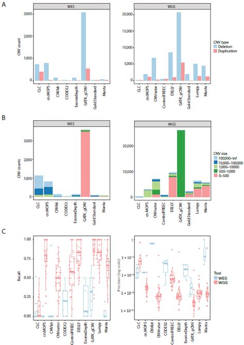 A Number Of Duplications And Deletions Called By Cnv Calling Tools In