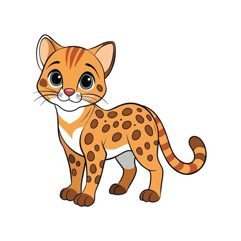 Cute Cartoon Clouded Leopard Cub Standing Alert And Cheerful 65892168 Vector Art At Vecteezy