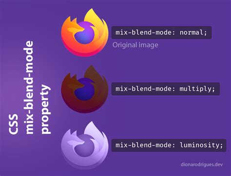 6 Useful Css Features You Might Not Know About Diona Rodrigues