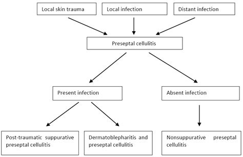 Preseptal Cellulitis Intechopen