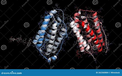 Interferon Beta Protein 3d Illustration Stock Illustration
