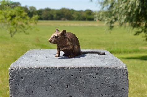 Garden Sculpture Bronze Mouse High Etsy