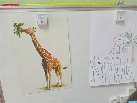 Мастер класс по рисованию цветными карандашами с использованием трафарета «Жираф для детей 5 6