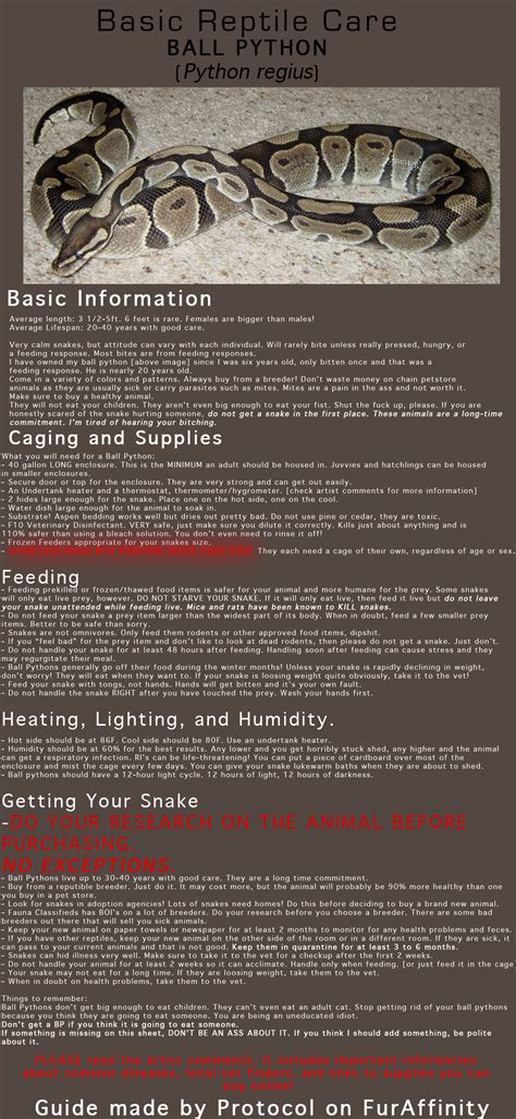 Ball Pythonin Info