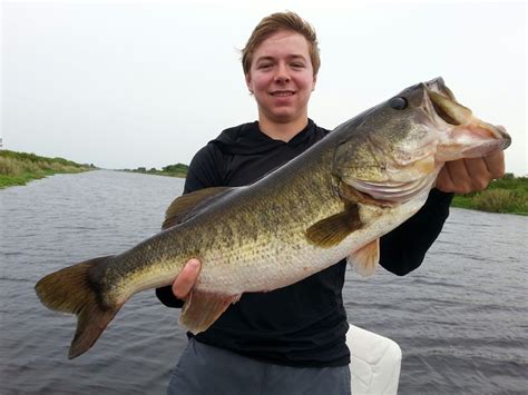June Is Prime Time On Lake Okeechobee Lake Okeechobee Bass Fishing