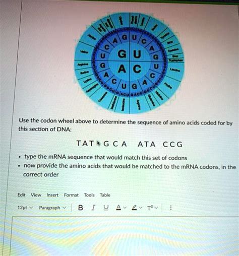 Codon Chart And Wheel Answers At Carolyn Ring Blog