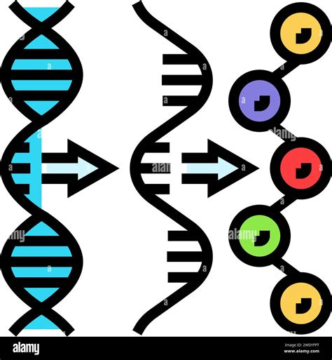 Gene Expression Cryptogenetics Color Icon Vector Illustration Stock Vector Image And Art Alamy