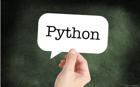 Python：通往未来编程世界的黄金钥匙
