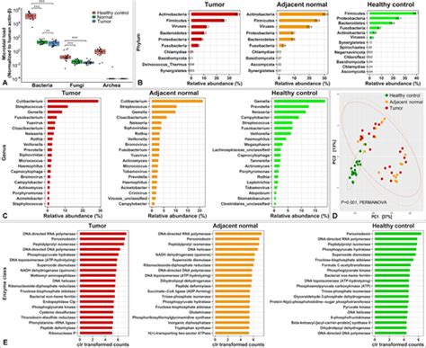 Integrative Metatranscriptomic Analysis Reveals Disease Specific Microbiome Host Interactions In